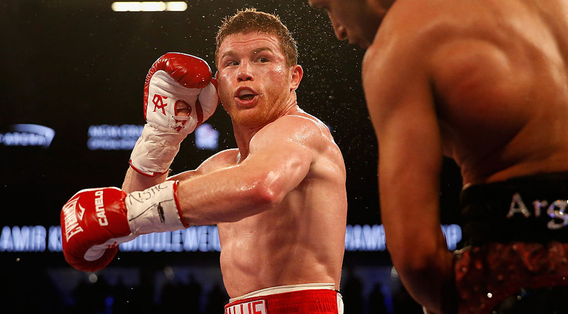 Canelo Alvarez Knockouts Highlights
