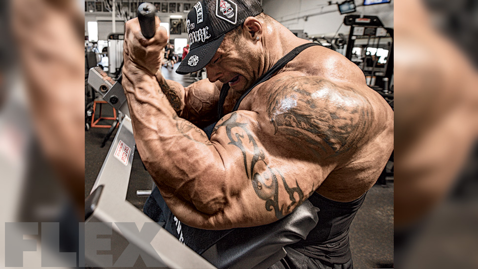 Rock Solid Arms | Muscle & Fitness