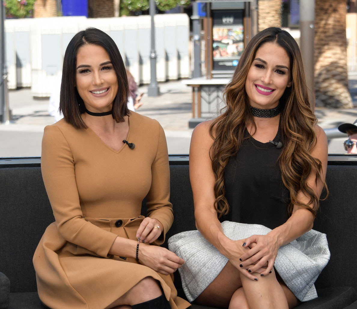 Nikki Bella And Brie Bella