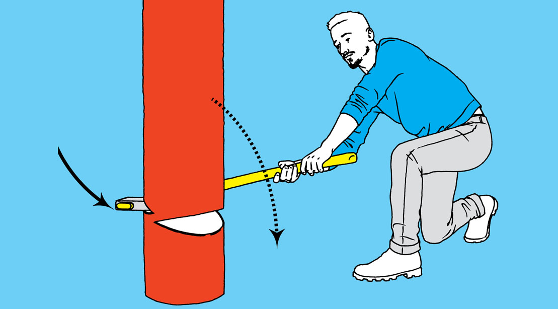 The Step-by-Step Guide to Chopping Down a Tree | Muscle & Fitness