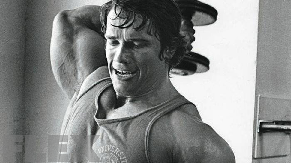 The Complete Arnold: Triceps | Muscle & Fitness