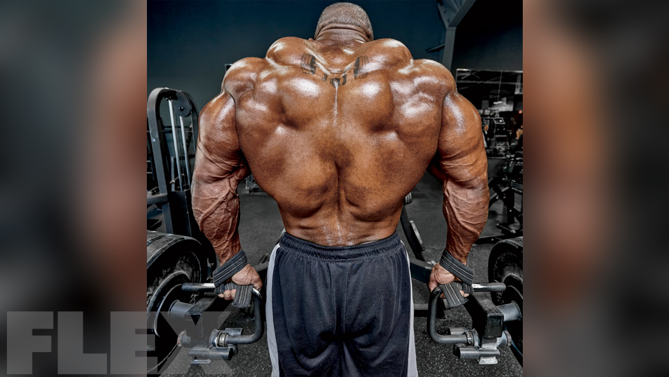 Six Weeks to Size | Muscle & Fitness