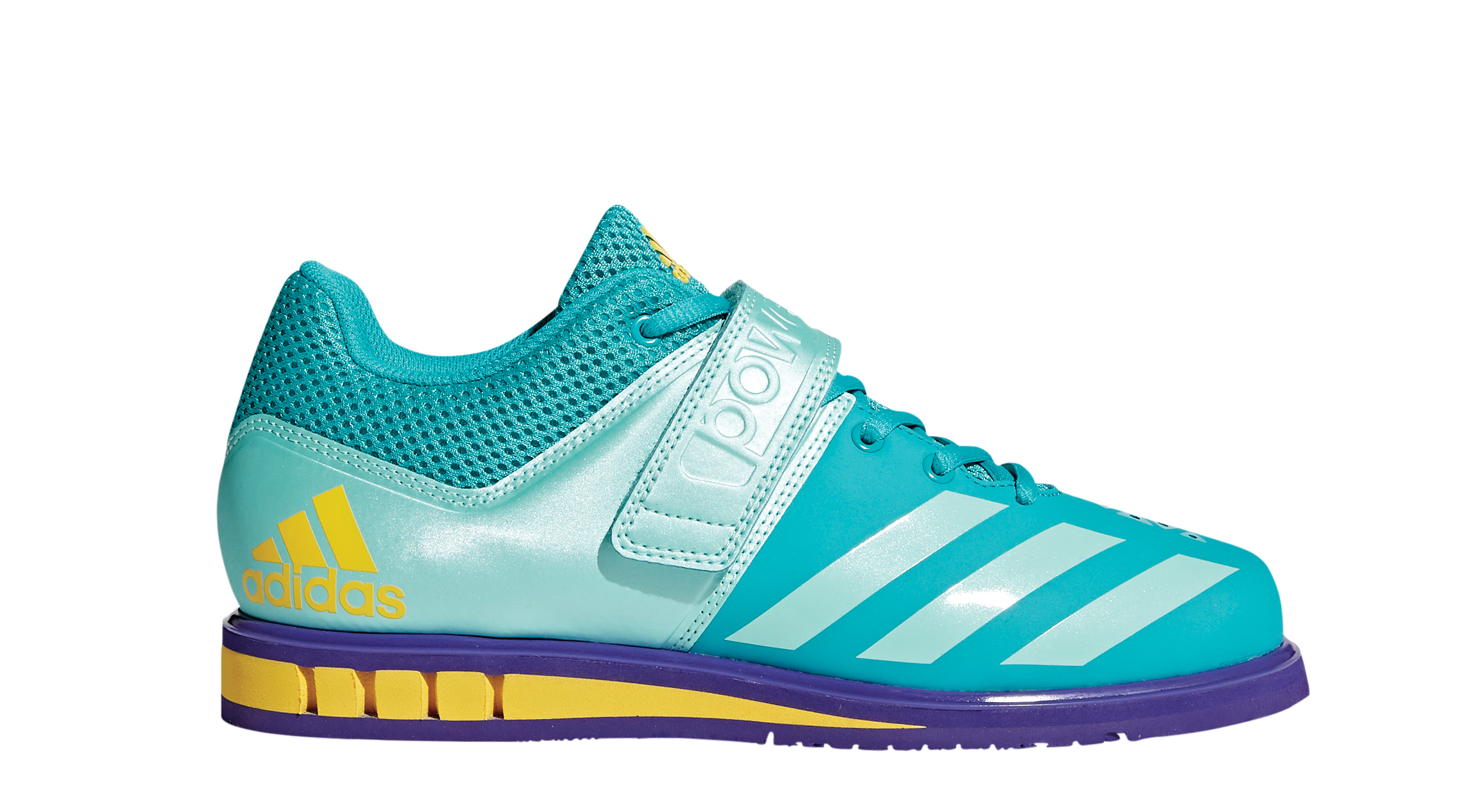 3 Essential Pieces of Gear for Beginner Powerlifters | Muscle & Fitness