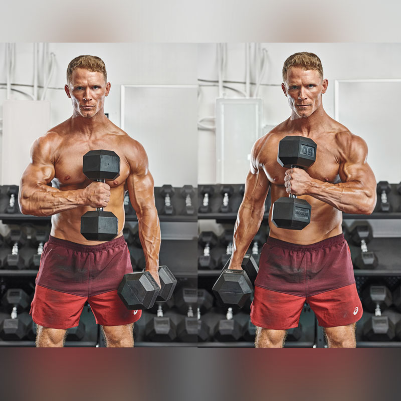 Cross Body Hammer Curl Exercise Video Guide | Muscle & Fitness