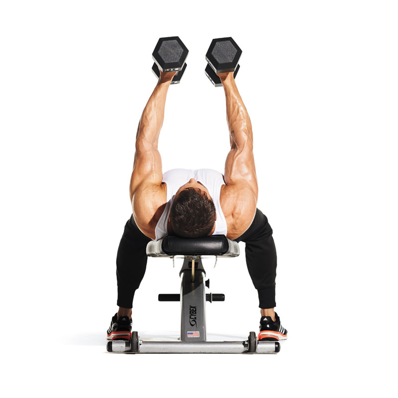Flat Bench Flye Exercise Video Guide | Muscle & Fitness