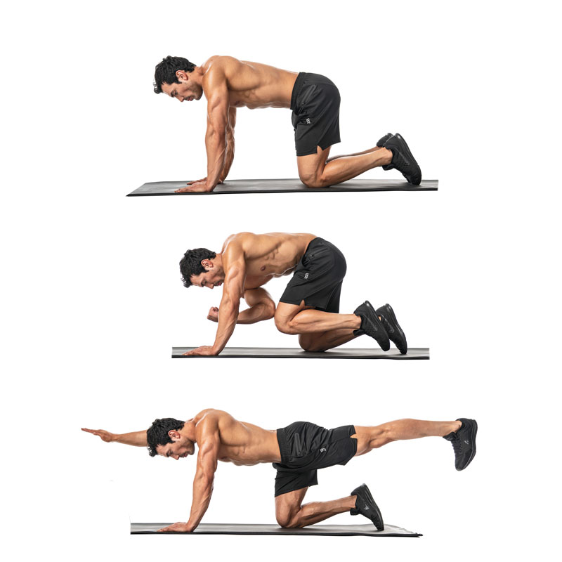 Kneeling Superman With Cross-Body Crunch Exercise Video Guide | Muscle ...