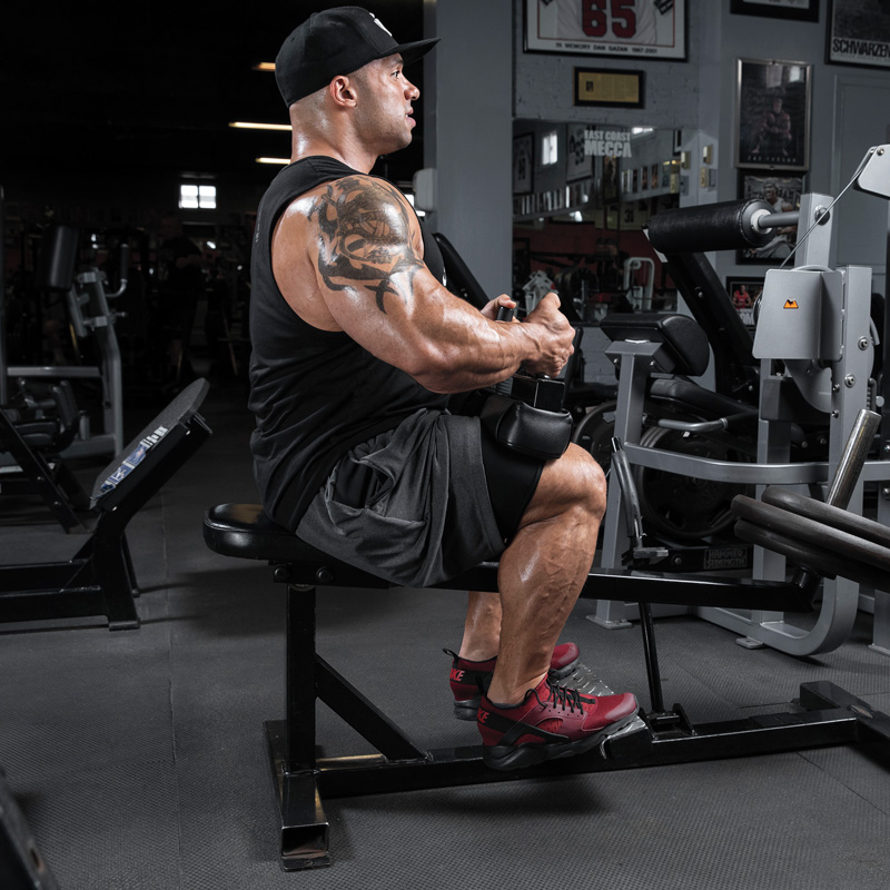 Seated Calf Raise Machine Exercise Video Guide | Muscle & Fitness