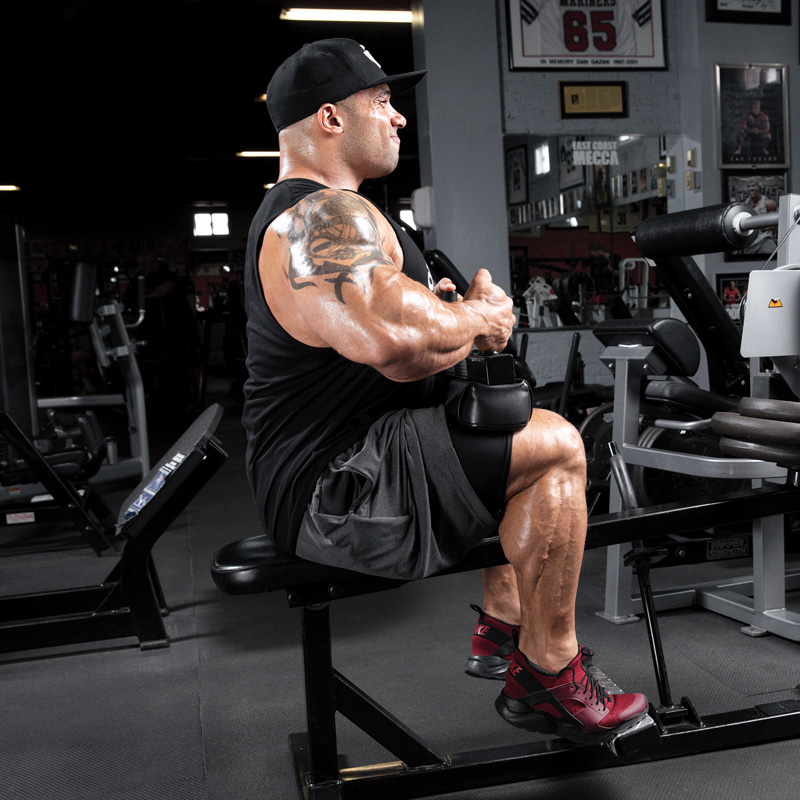 Seated Calf Raise Machine Exercise Video Guide | Muscle & Fitness