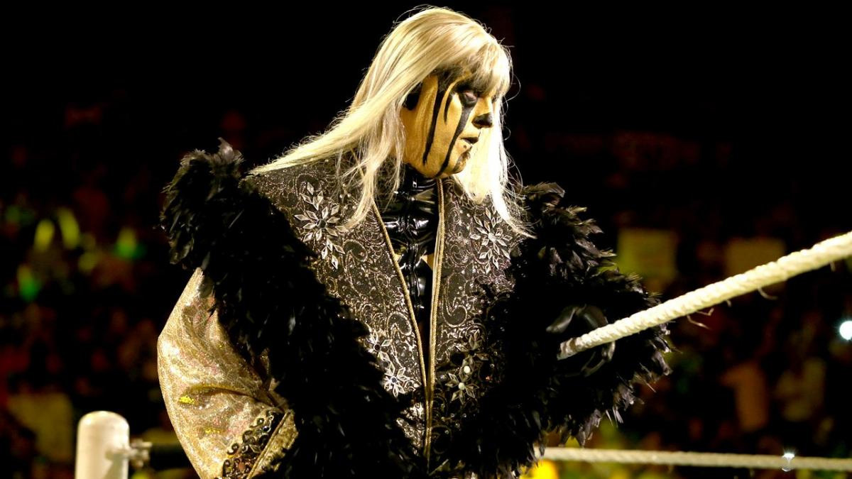 Gold Dust Wrestler Costume