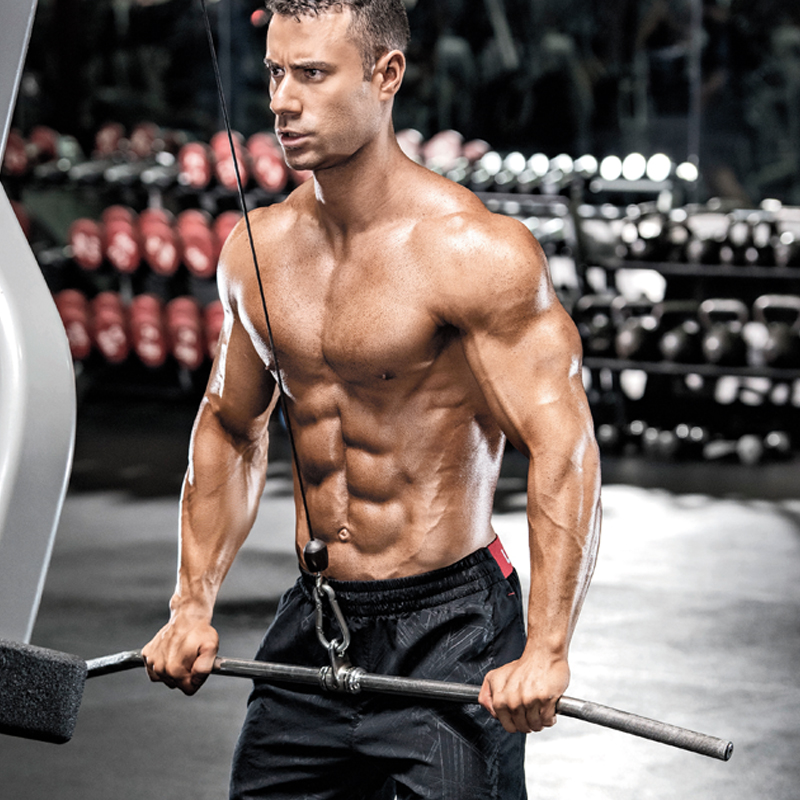 Muscular Arm Straight