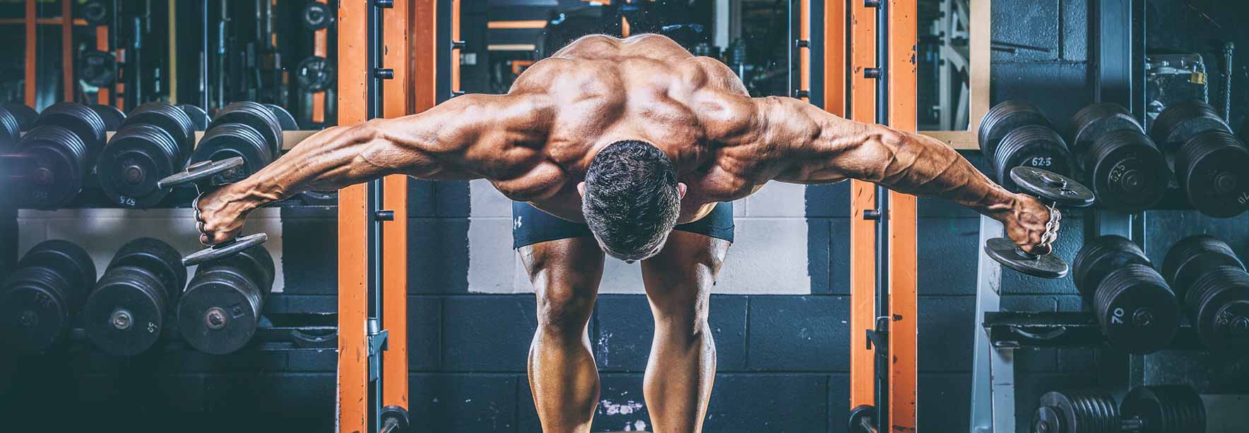 12 Week Workout Plan Bodybuilding Pdf EOUA Blog 12 Week Workout Plan Bodybuilding Pdf EOUA Blog