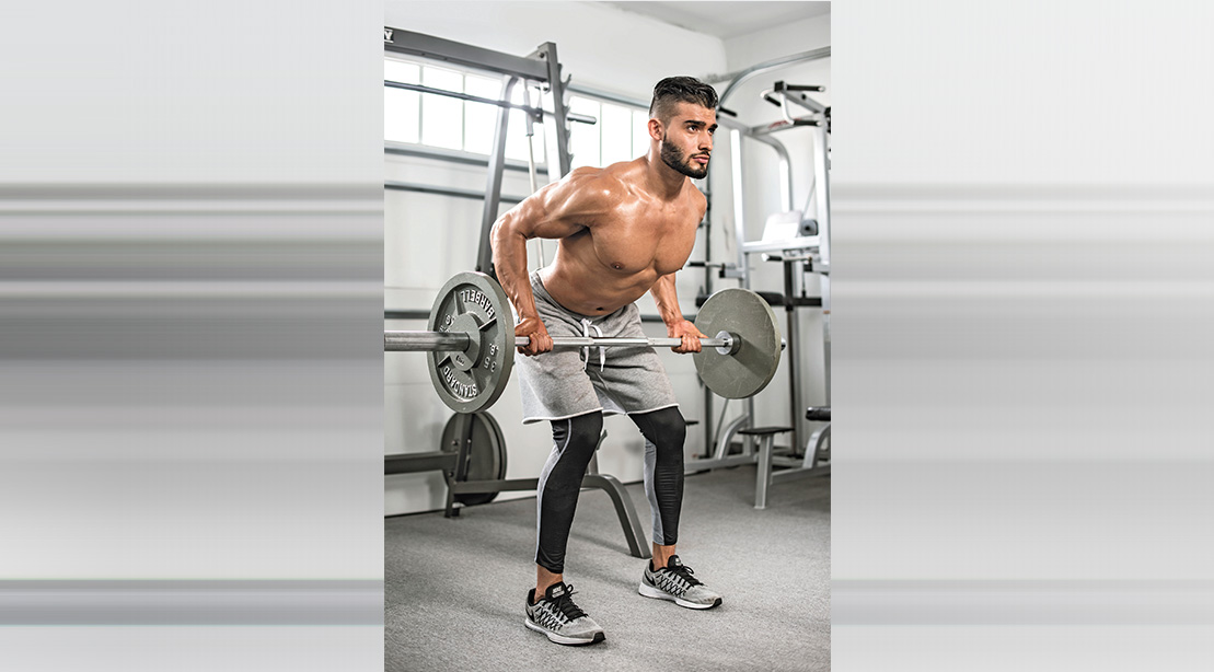 Bent Over Barbell Rows Reverse Grip