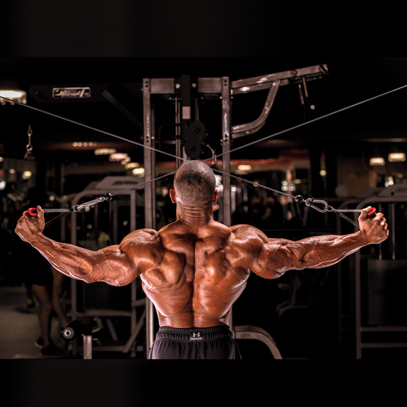 Rear Delt Flye