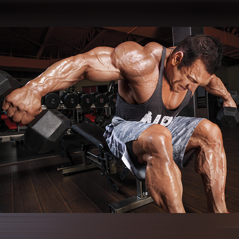 Seated Rear Delt Flye Exercise Video Guide | Muscle & Fitness