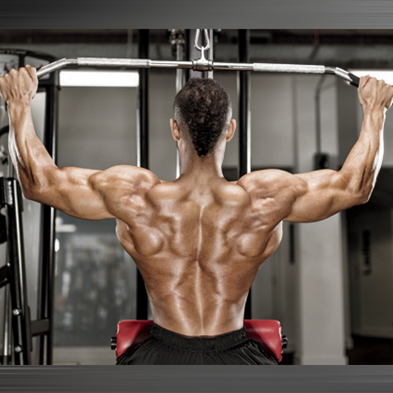Front Pulldown Exercise Video Guide | Muscle & Fitness