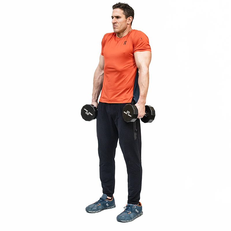 Dumbbell RDL to Shrug Exercise Video Guide | Muscle & Fitness